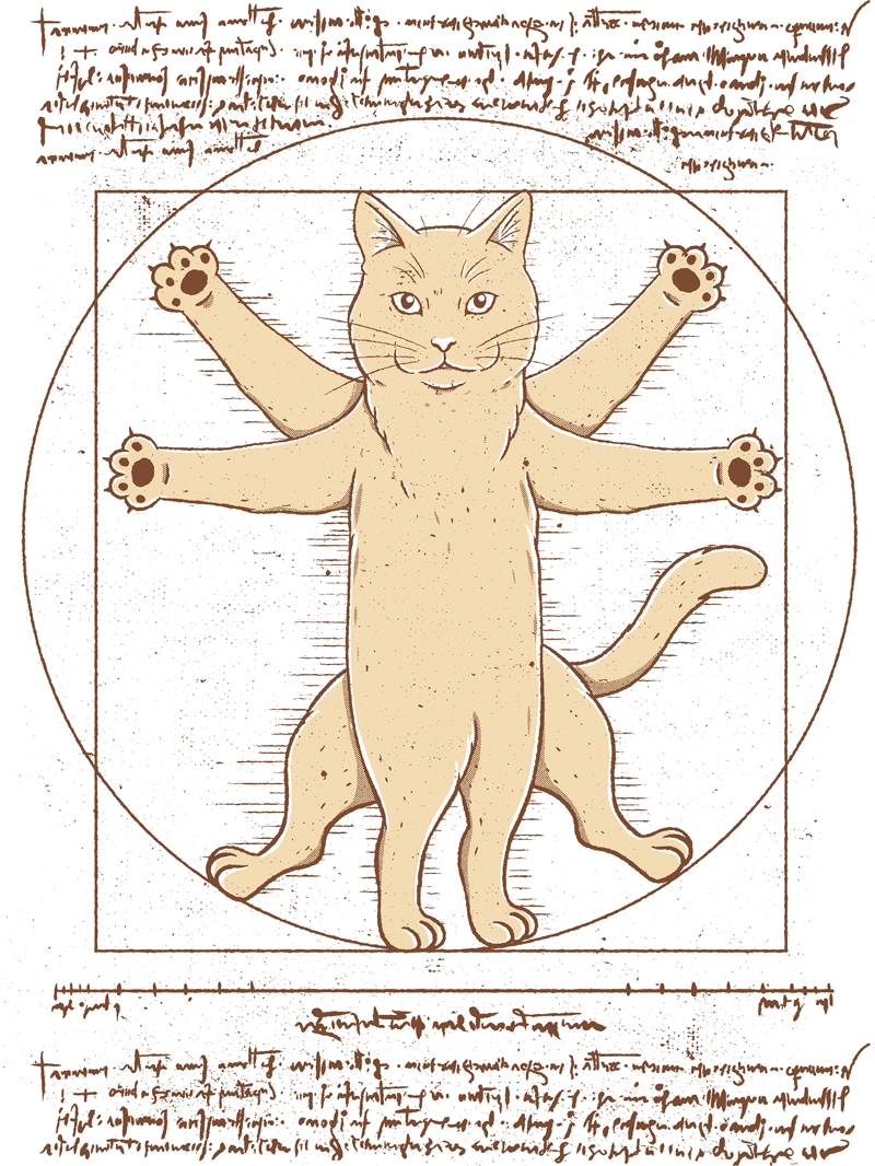 Design Vitruvian Cat by Thiago Correa - Pampling.com